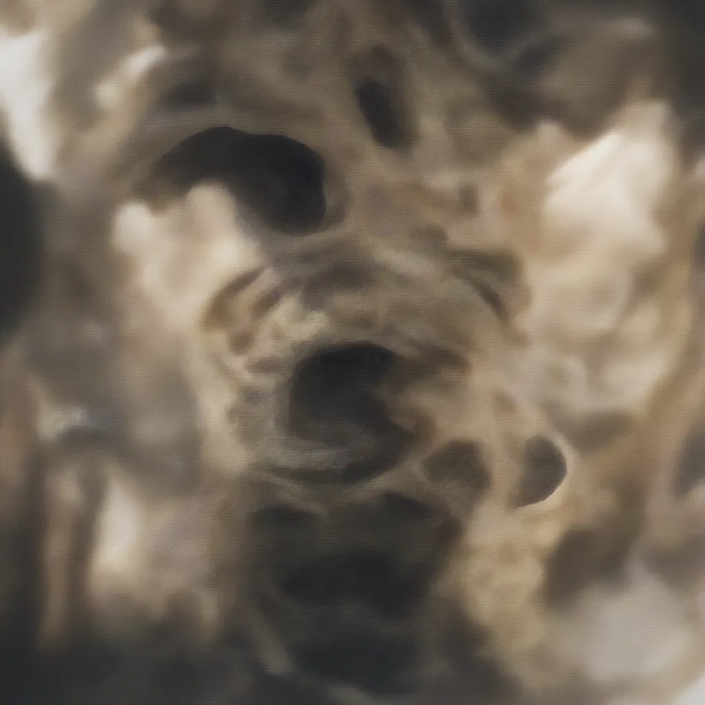 an-in-depth-examination-of-the-spine-bone-vertebrae-structure.webp